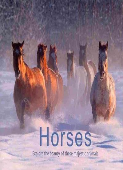 Horses: Explore the Beauty of These Majestic Animals (Landscape Books ...