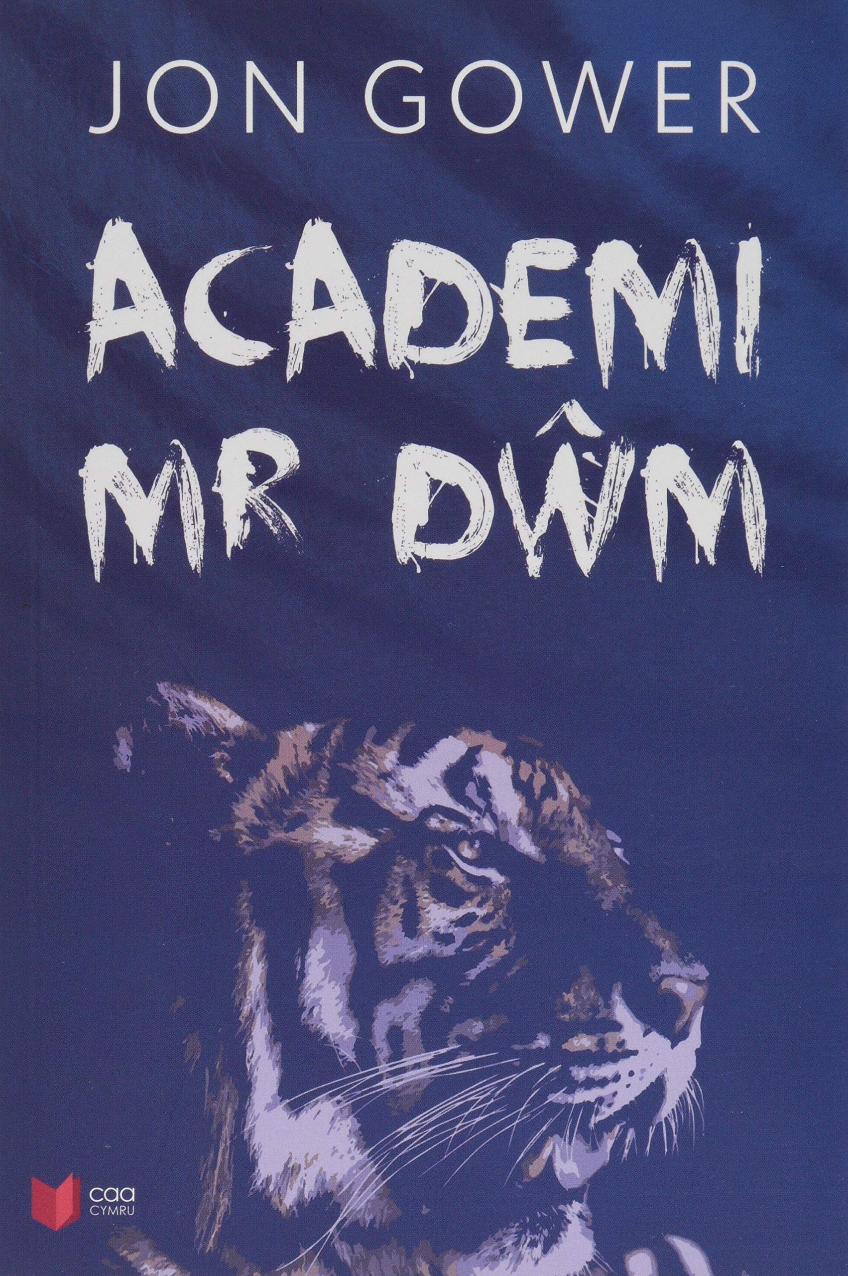 Academi Mr Dm (43501) By Jon Gower 9781845216993 | eBay UK